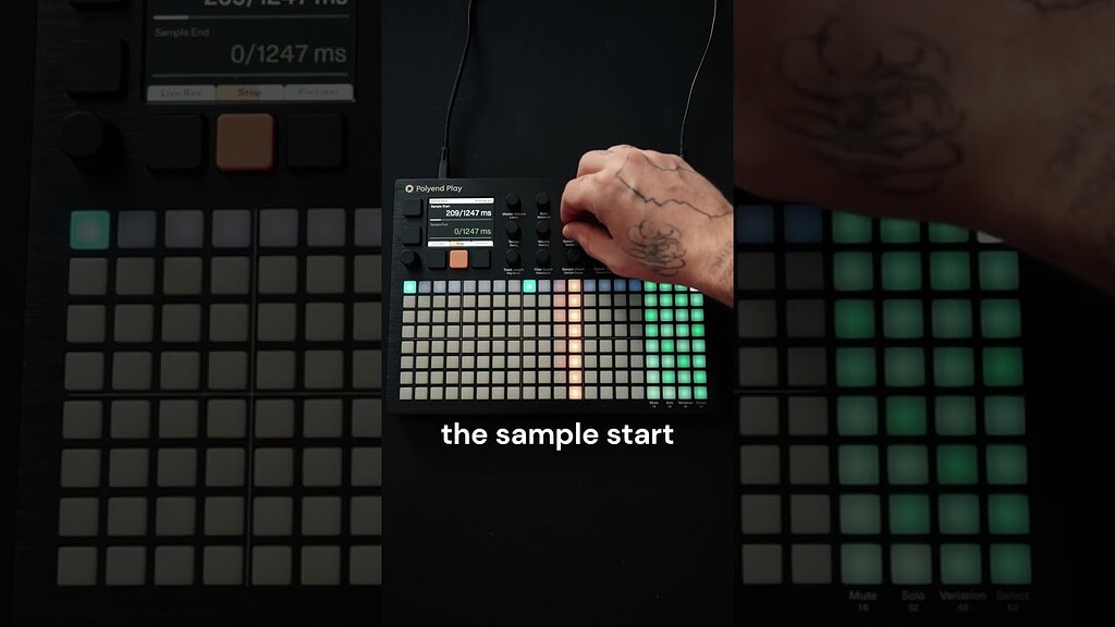 New Chance action to reverse sample playback - Wishlist - Polyend Backstage