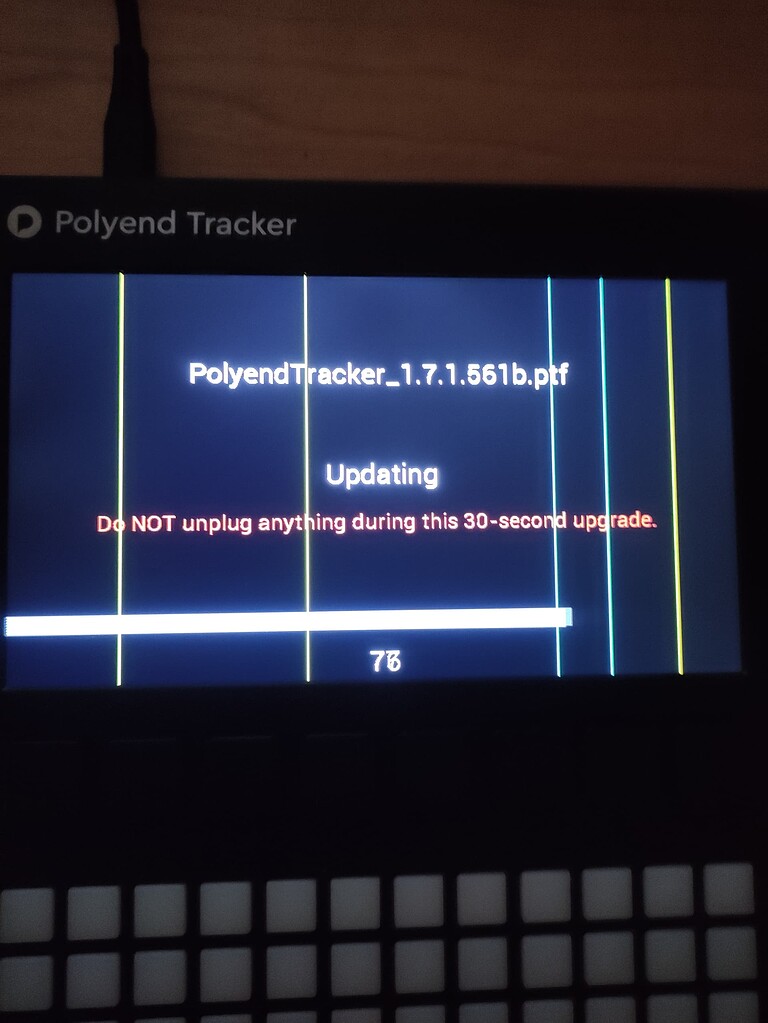 Vertical lines error, no sound sloppy - Tracker - Polyend Backstage
