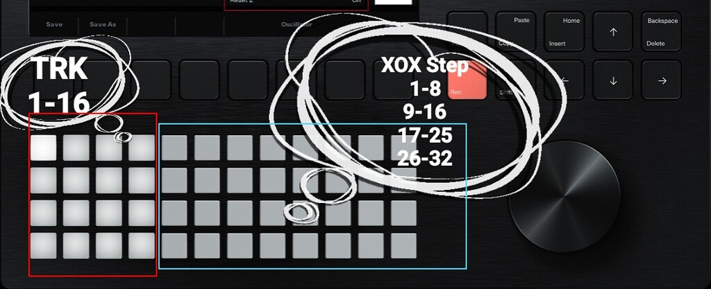 TRACKER XOX Grid - General - Polyend Backstage