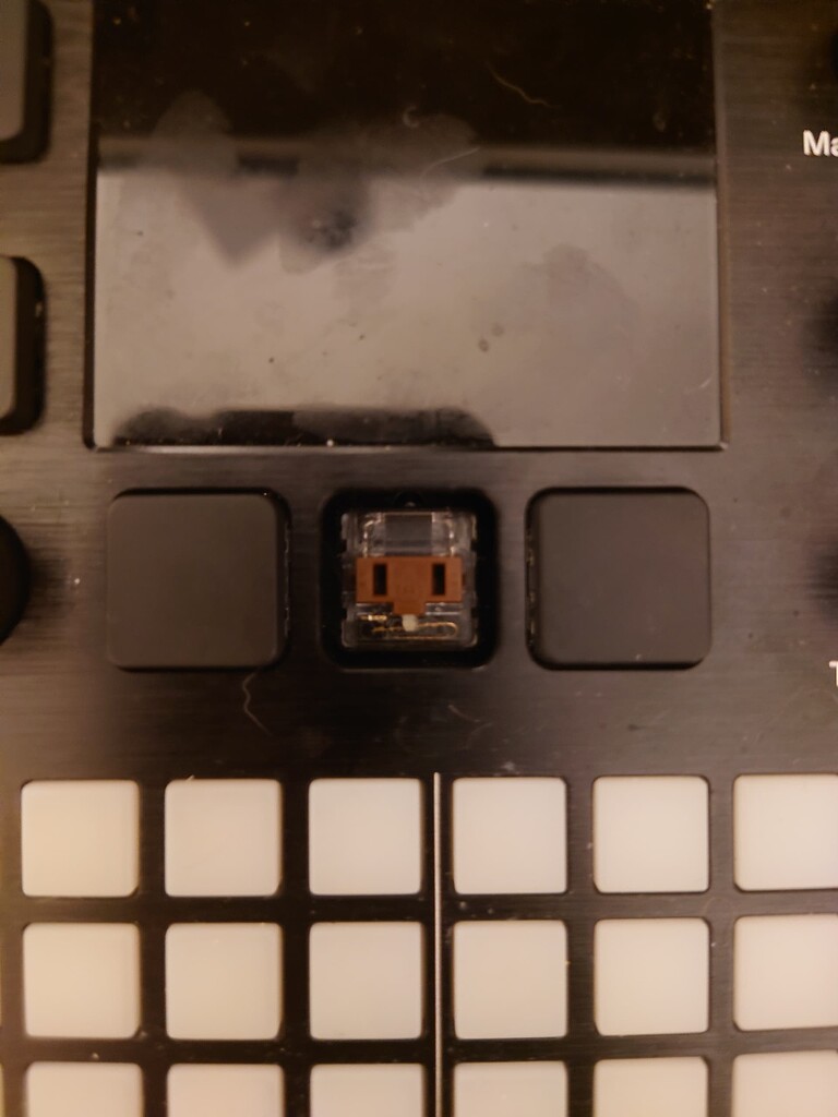 Source of Custom Keycaps - General - Polyend Backstage